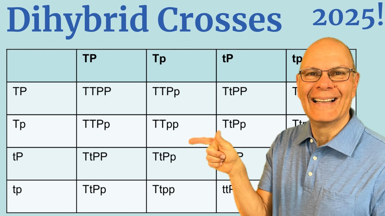 Ace AP Bio Dihybrid Crosses in 8 Minutes! - YouTube