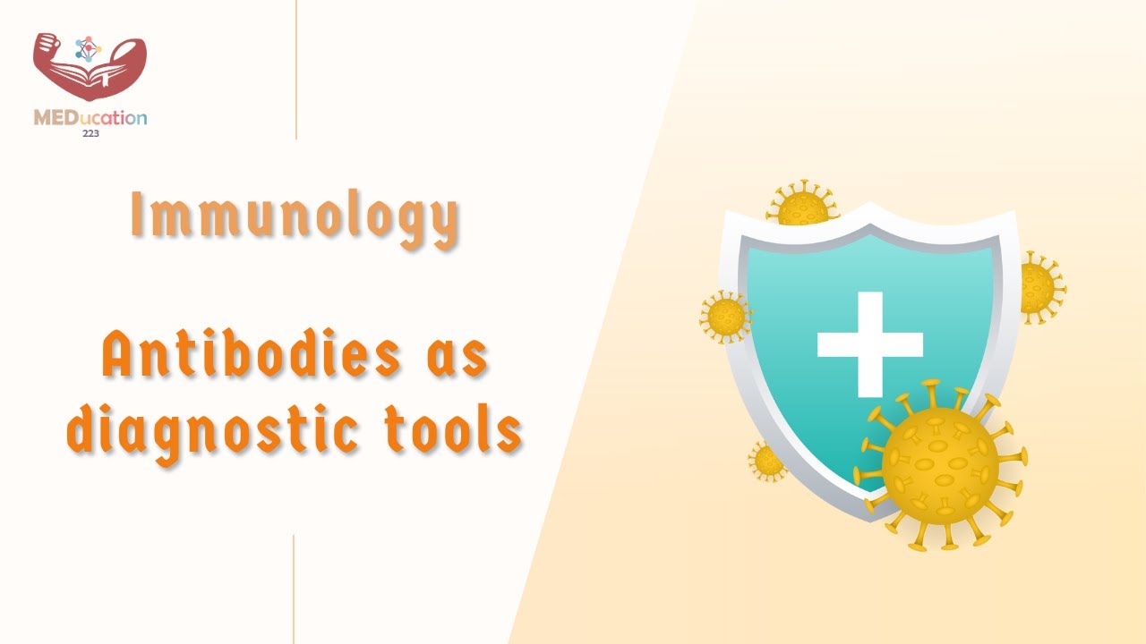 Immunology- Antibodies as diagnostic tools - YouTube