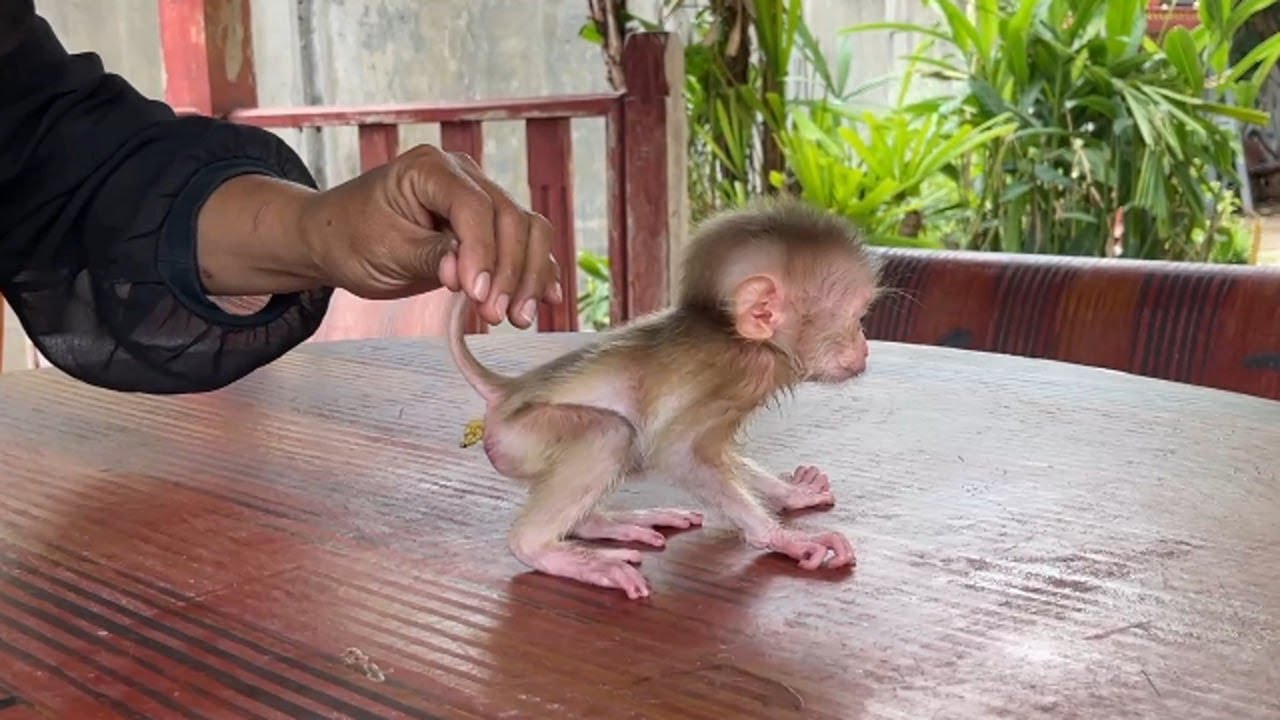 Mom Help Smart Baby A Tong To Done Pooooop - YouTube