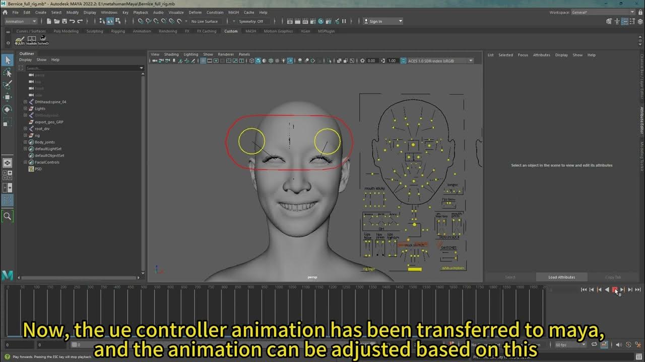 UE Export Level Sequece Face Controller to MAYA tutorial - YouTube