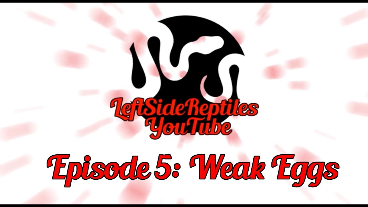 Episode 5: Weak Eggs - YouTube