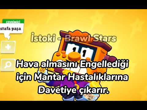 Çorapla uyumanın Zararları 😴