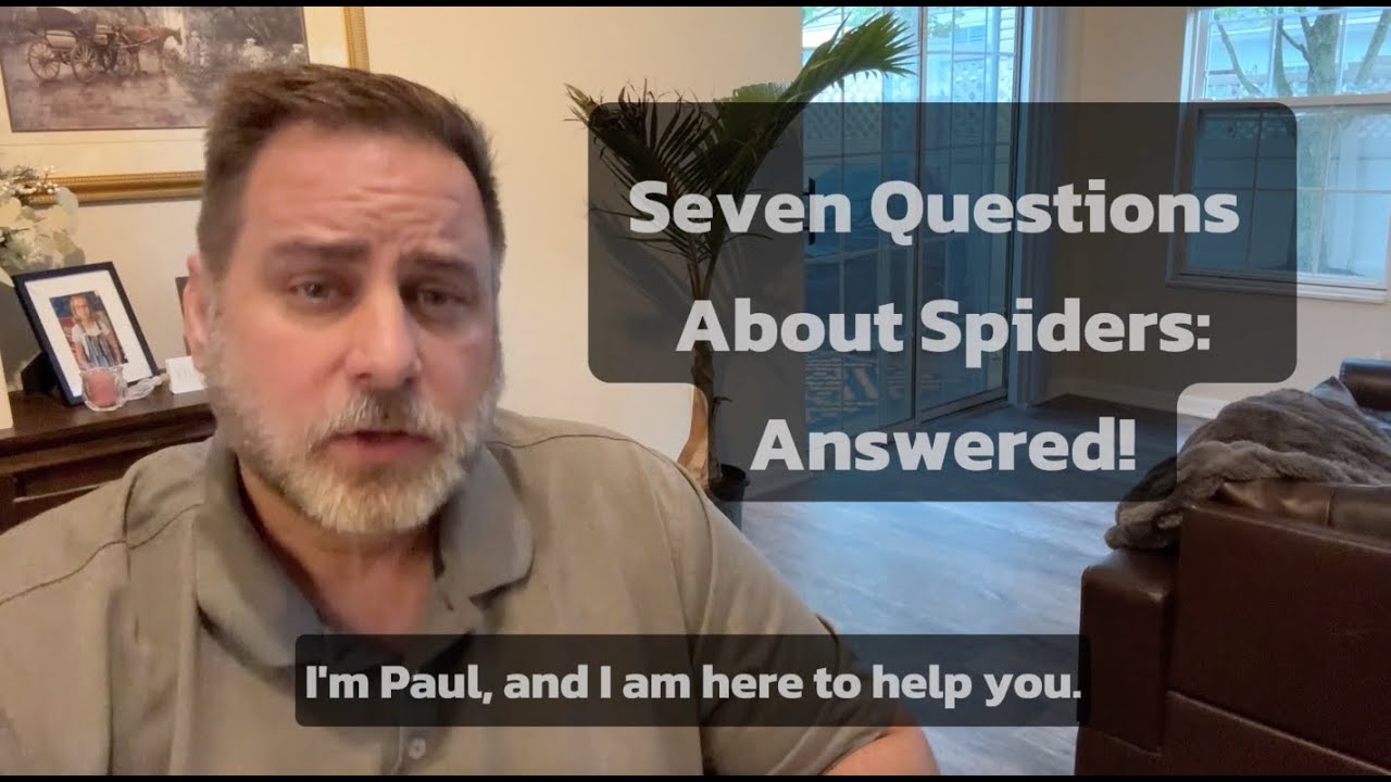 Spiders Q and A: Seven Questions About Spiders ANSWERED! - YouTube