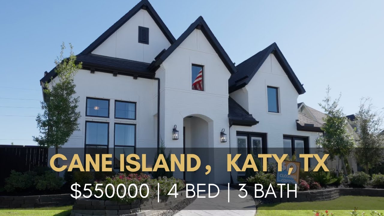 Modern Elegance Unveiled: Stunning 2-Story, 19-Foot High Ceiling Model ...