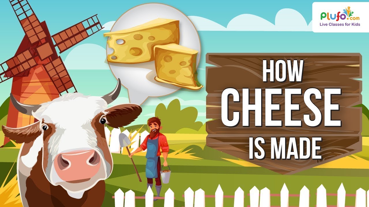 Did you ever wonder how cheese is made? | Educational Videos | Always ...