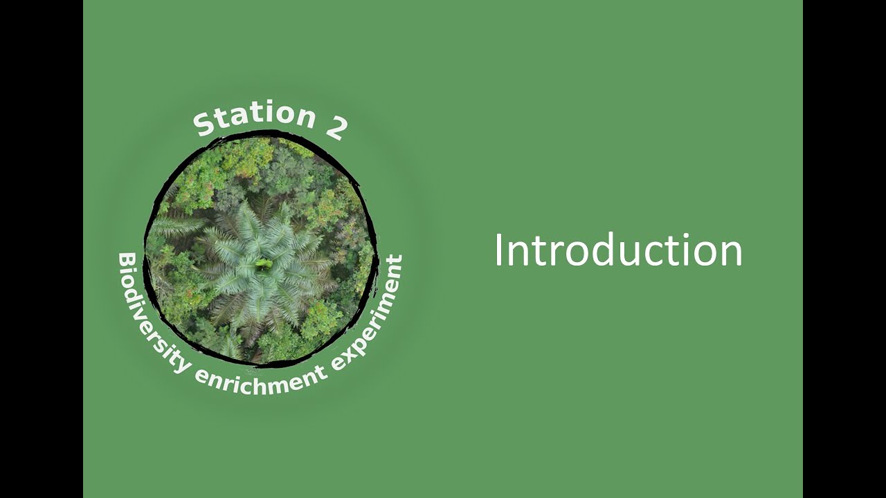 Station 2: Introduction - YouTube