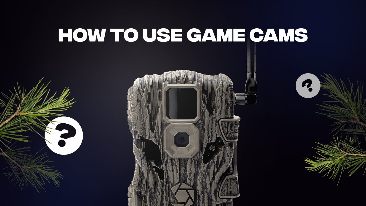 How To Use Game Cams (A beginners guide to using cellular cameras for ...