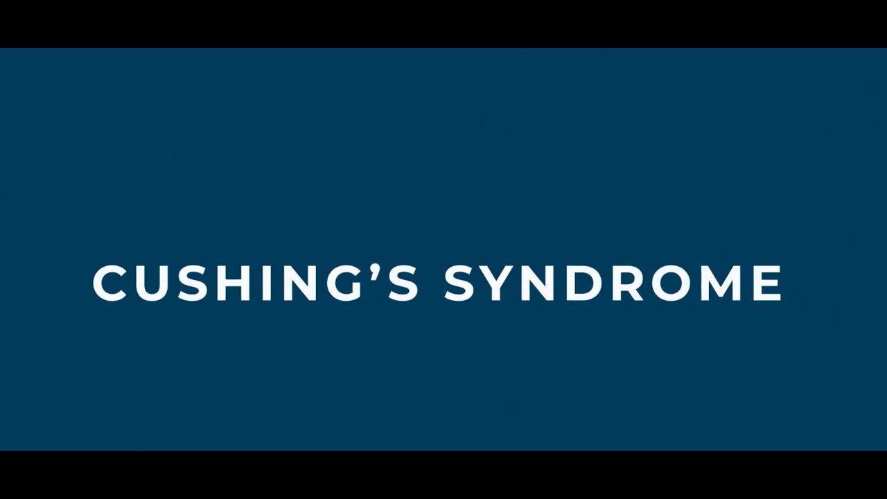 AACE Patient Guide to Rare Endocrine Diseases: Cushing's Syndrome - YouTube