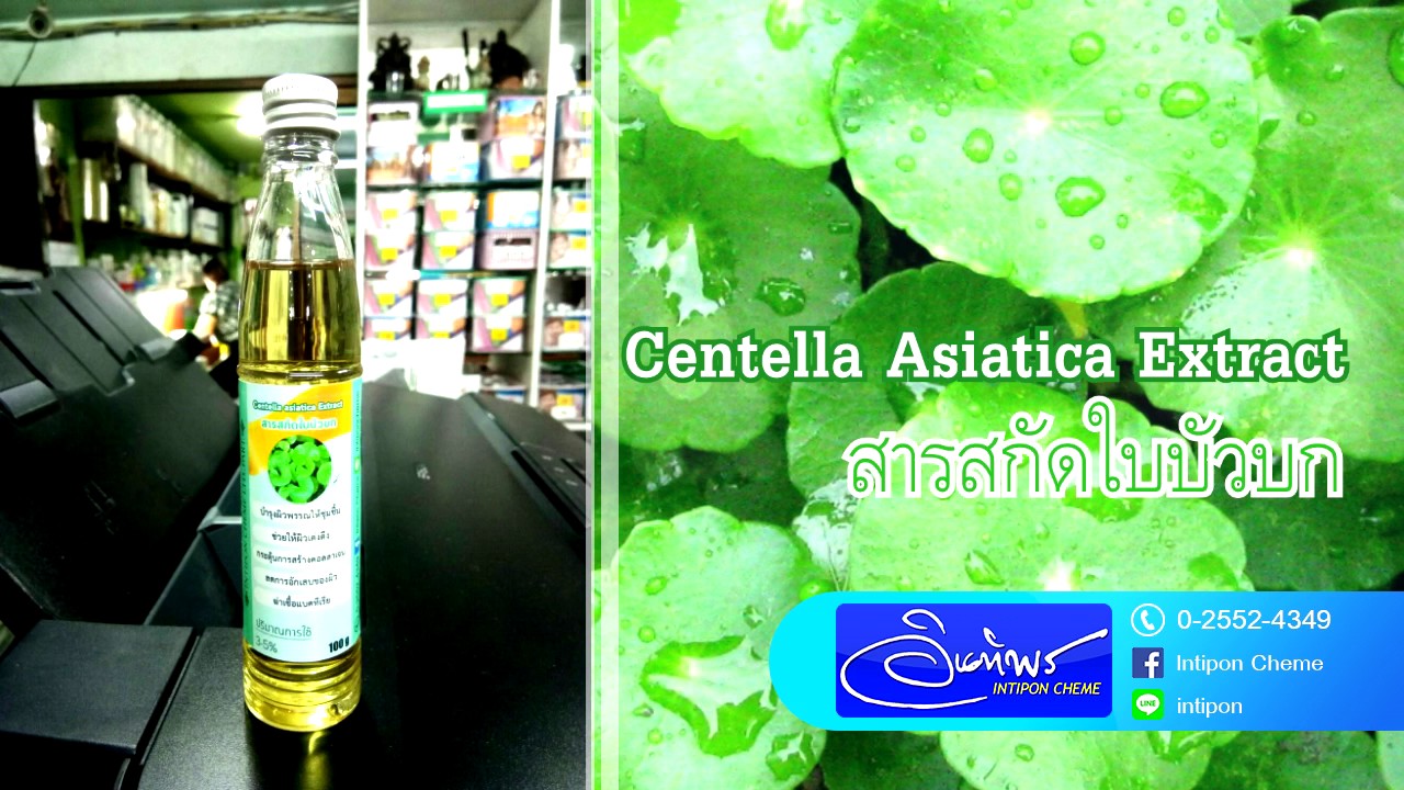 สารสกัดจากใบบัวบก (Centella asiatica Extract) (ย้ายช่องแล้วนะคะ) - YouTube