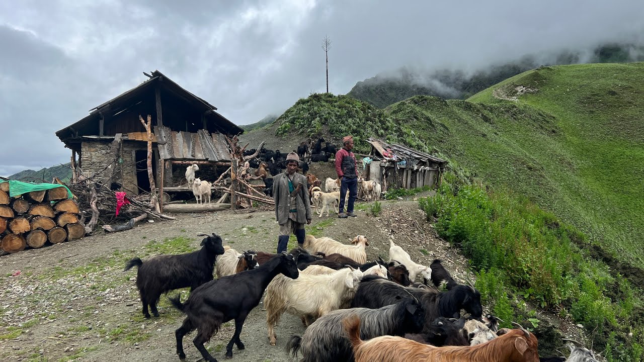 Discovering the Secrets of Living in Balance with Nature in Nepal ...