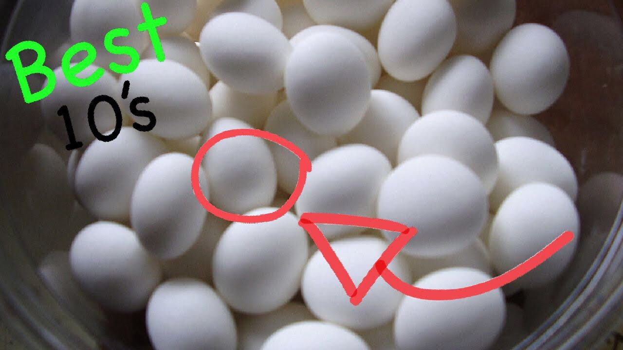 Top 10 MINTS That Are MINTY - YouTube