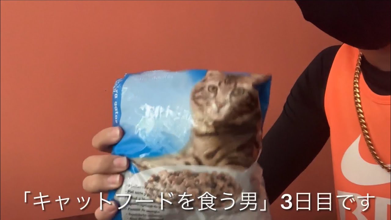 キャットフードを食う男 3日目 man eating cat food , hombre comiendo comida para gatos ...