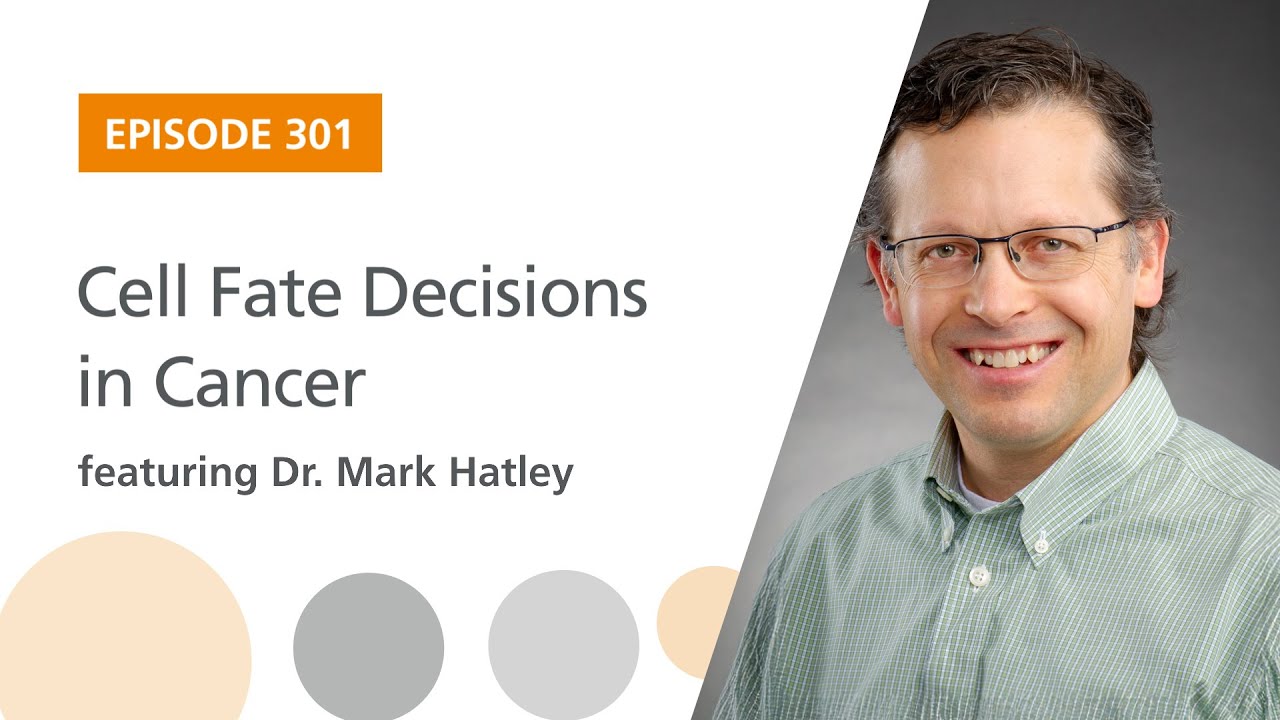 Cell Fate Decisions in Cancer featuring Dr. Mark Hatley | The Stem Cell ...