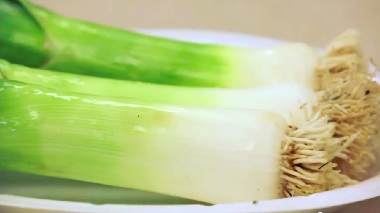 Preparing Leeks for Exhibition - YouTube