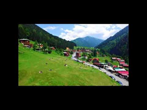 SAİT UÇAR KOYUN KUZUCUĞUNU TANIYOR KOKUSUNDAN