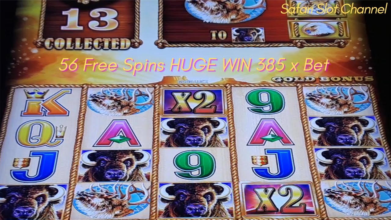 Buffalo Gold Slot Machine * 56 Free Spins * Huge Win 385 x bet * Safari ...