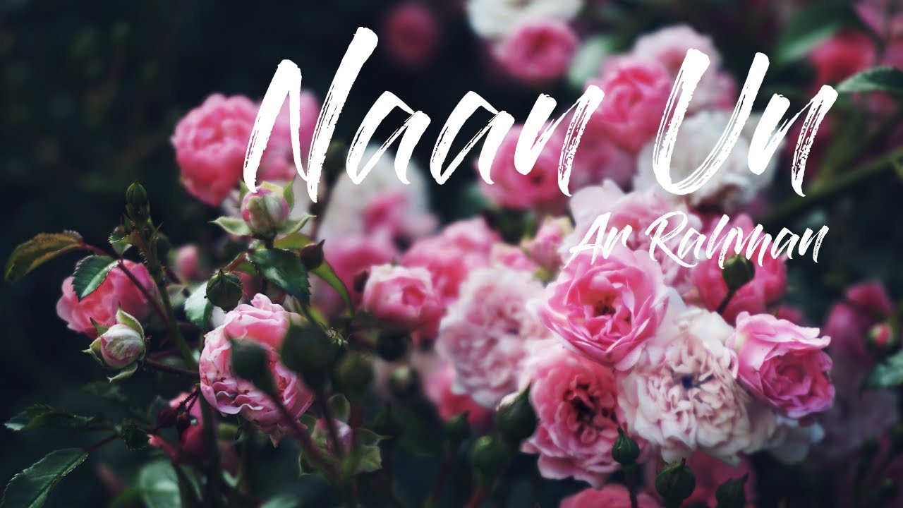 Naan Un Full Lyrical Video | AR Rahman | 24 | Subtle Clarity Audio ...