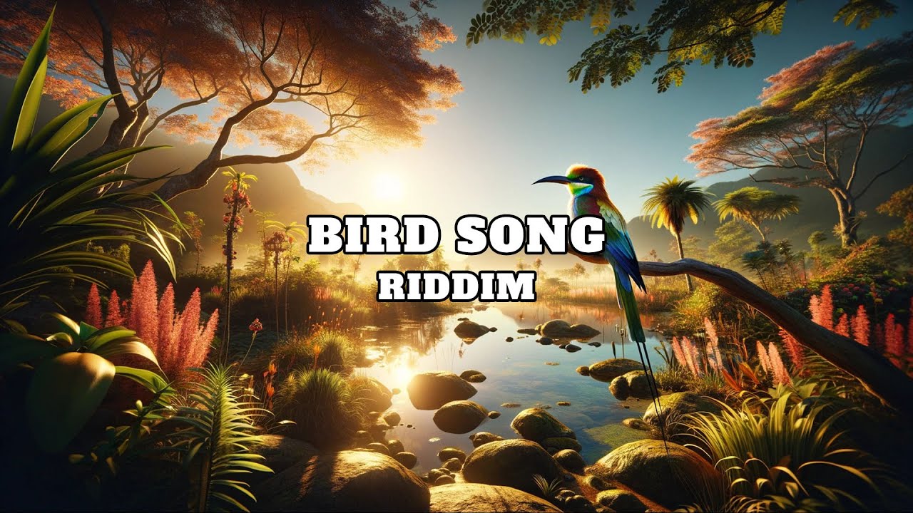 "Bird Song" - Reggae Beat Riddim Instrumental - YouTube
