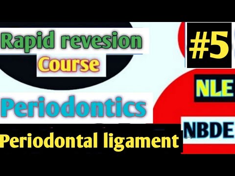 Rapid revesion course of periodontics /PDL /principal fibers of PDL ...
