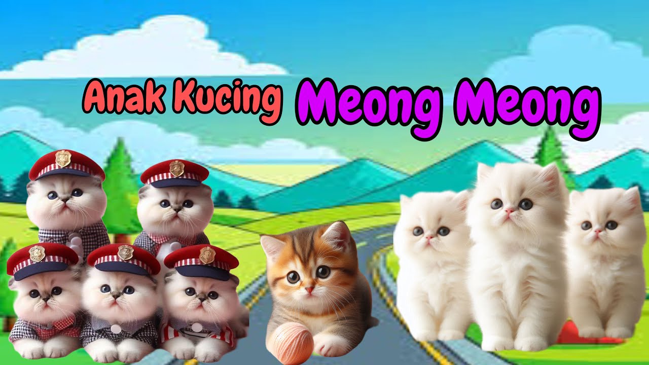 Kucing Usil Lucu Bikin Ngakak😹 ANAK KUCING MEONG MEONG‼️ FUNNY KITTEN ...