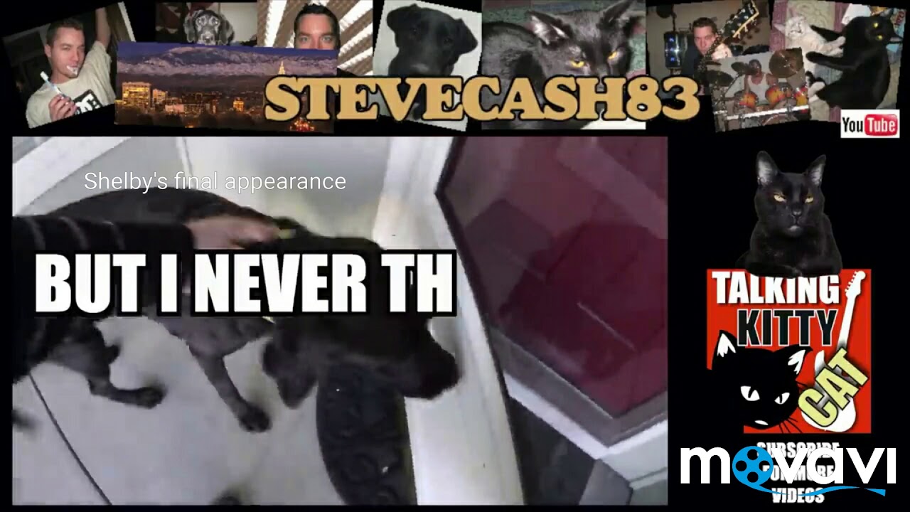 Tribute to Steve Cash. - YouTube