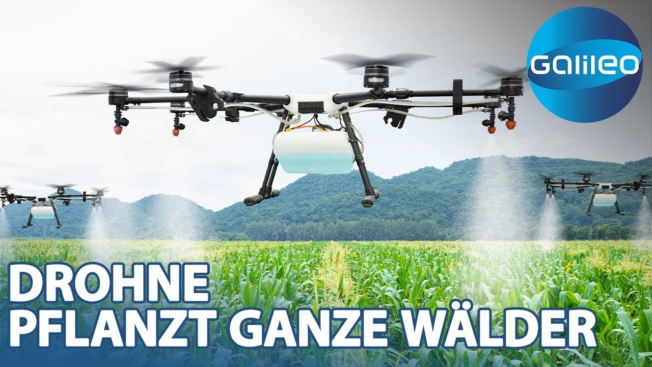 Airseed: Mithilfe von Drohnen, komplette Wälder an nur 1 Tag ...