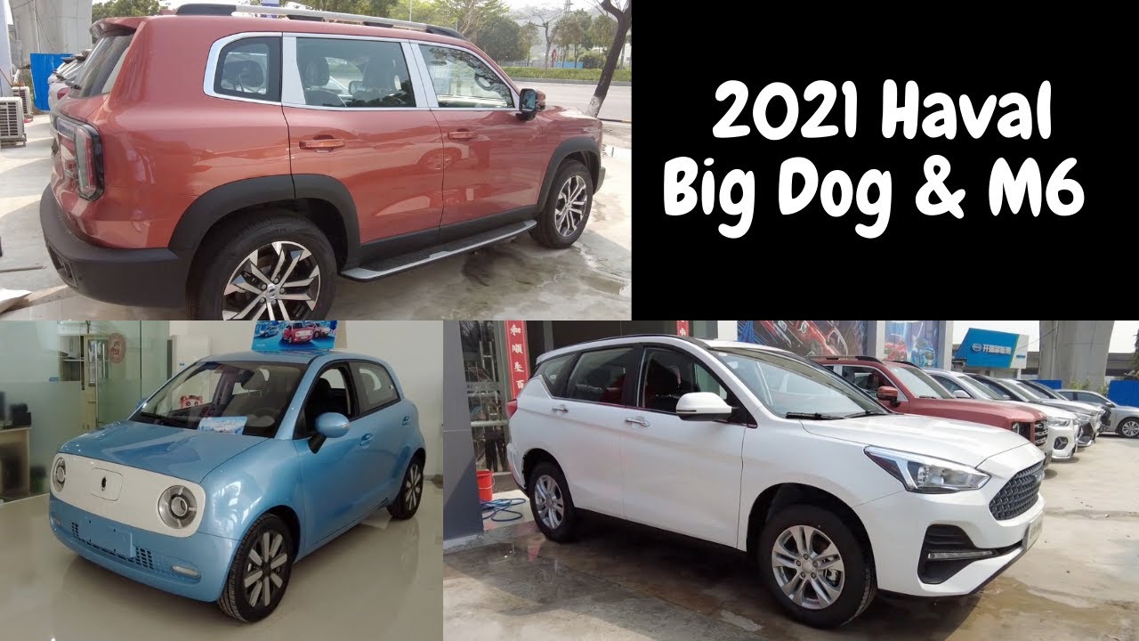 2021 Haval Big Dog 大狗 & M6 & Ora Black Cat - YouTube