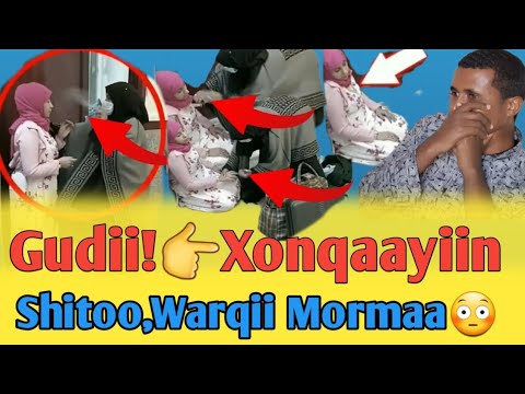 🔴Gudii! Xonqaayiin Warqii Mormaa Shitoo || Warqee Quba || Dhangaa ...