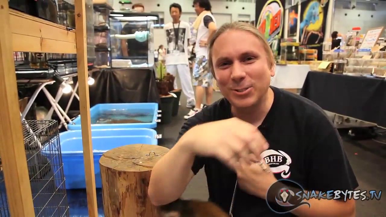 Snake Bytes TV Reptiles Invades Japan ; SnakeBytesTV - YouTube