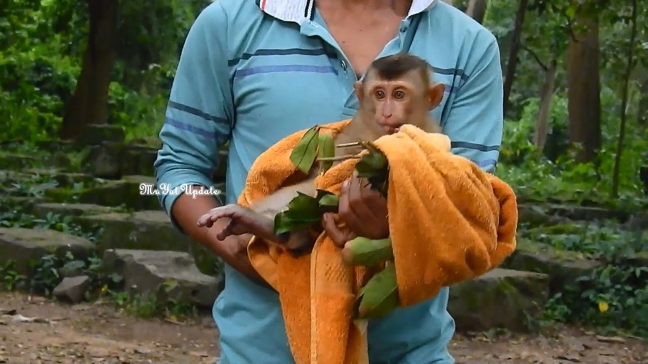 I take Alex out for thr fresh air & feed fruits then I return him back ...
