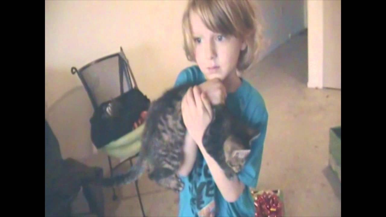 Travis Gets A New Cat - YouTube