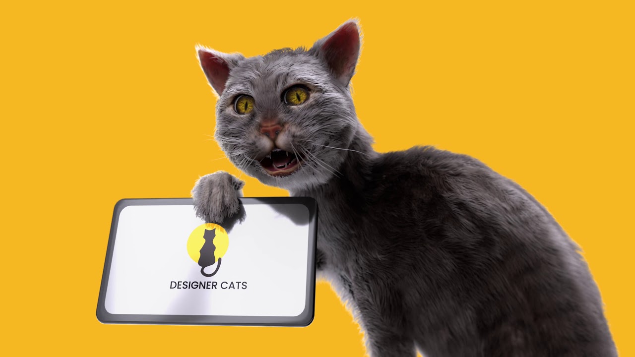 Cat Animation For Designer Cats | Trending Content Animal To Graphics ...