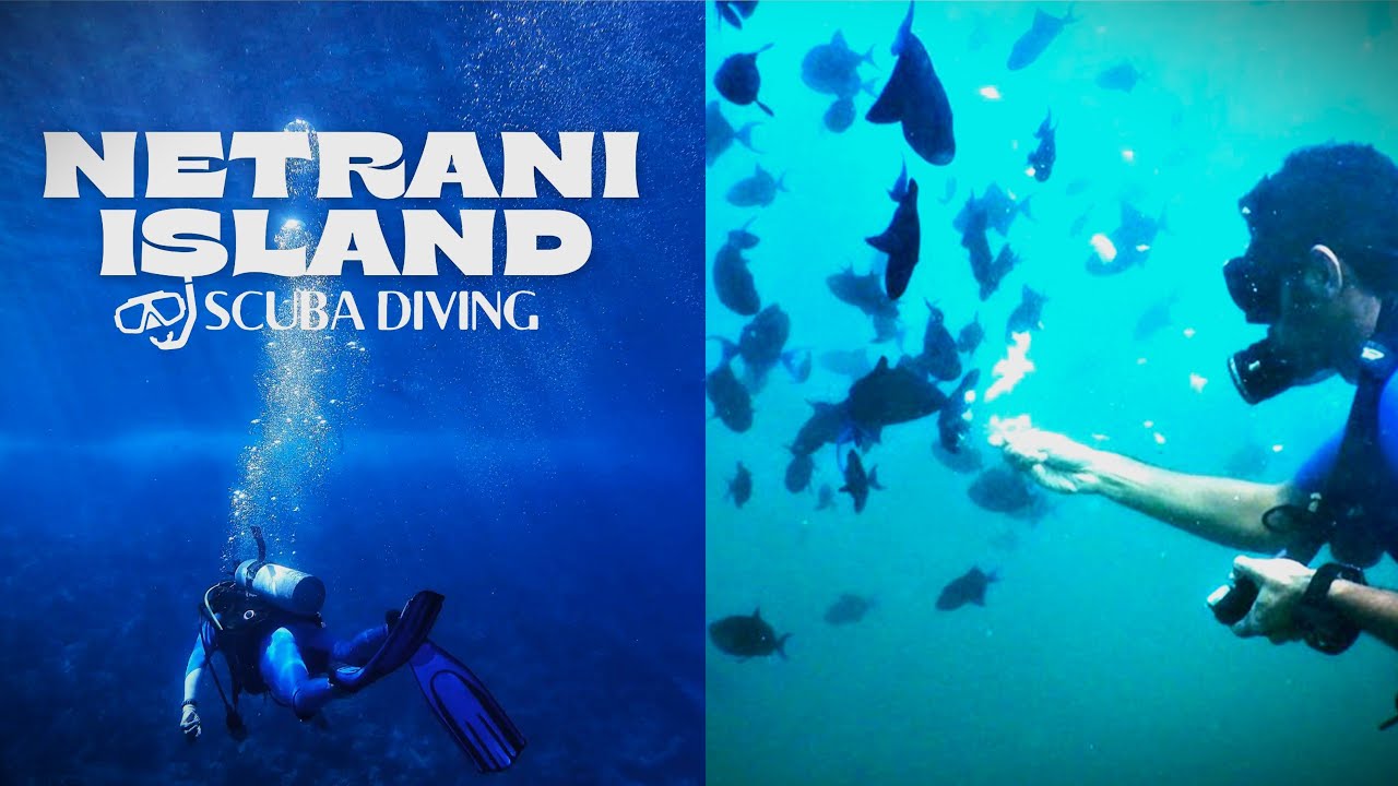 Netrani Island Murdeshwar Aqua Ride Scuba Diving 2024 - YouTube