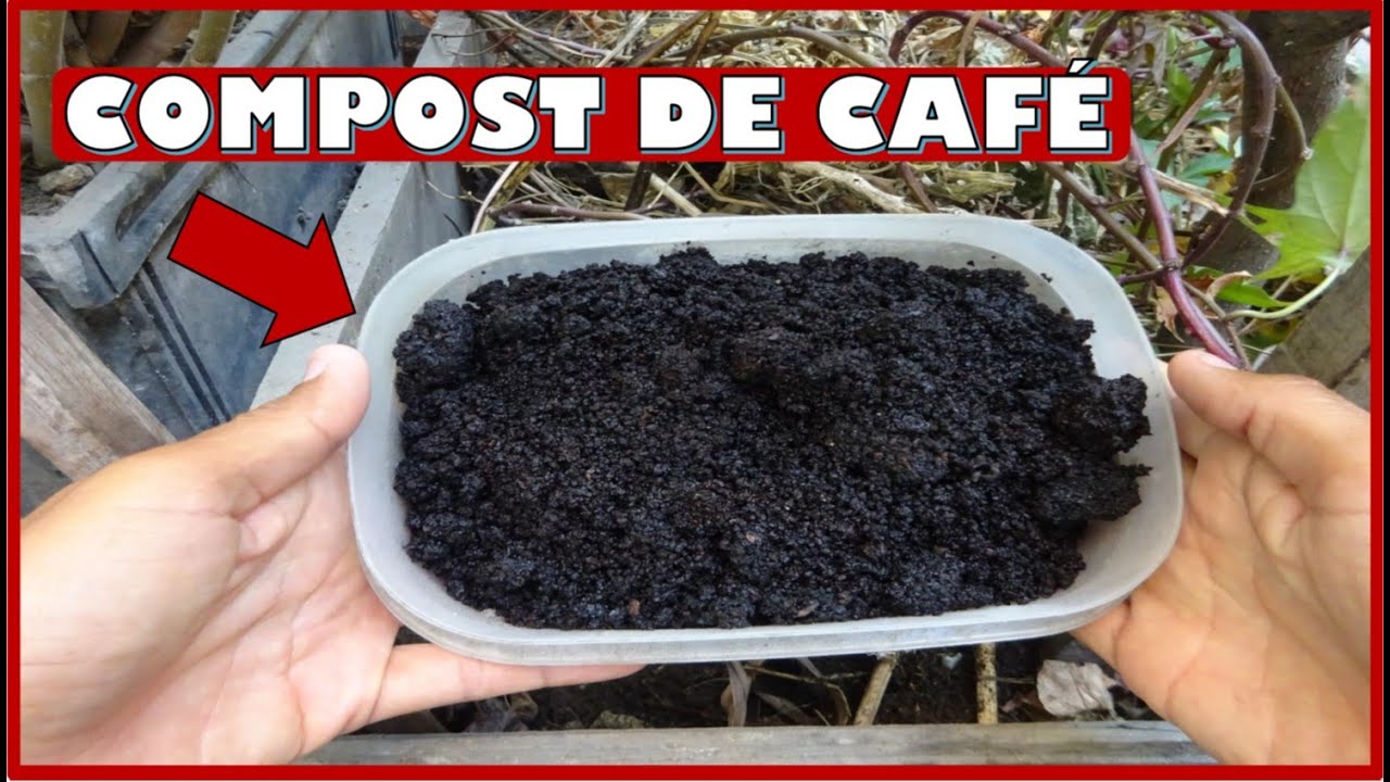 APRENDE A ELABORAR COMPOST CON RESTOS DE CAFÉ PASADO - YouTube