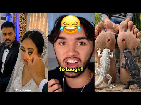 🤣 Funniest Viral TikTok Reactions | Louisayy Comedy Compilation (4 Hours) With Gem, Noah & Others