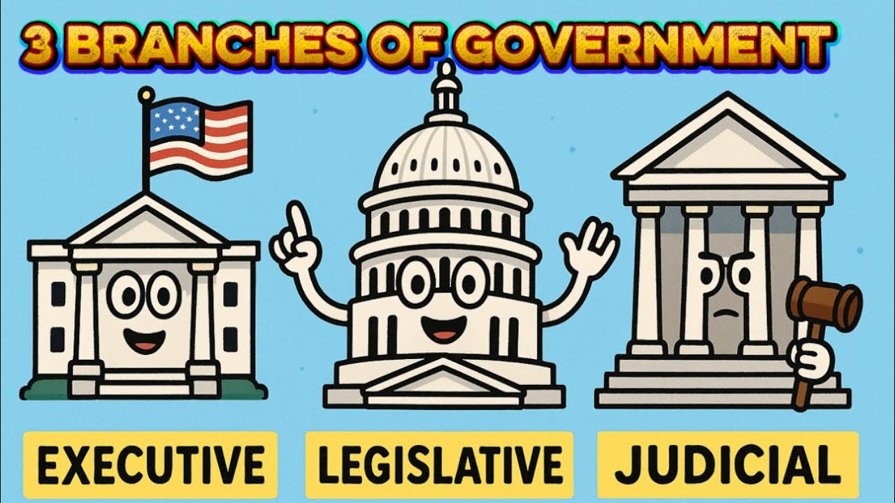 The 3 Branches of Government Explained #executive #legislatives # ...
