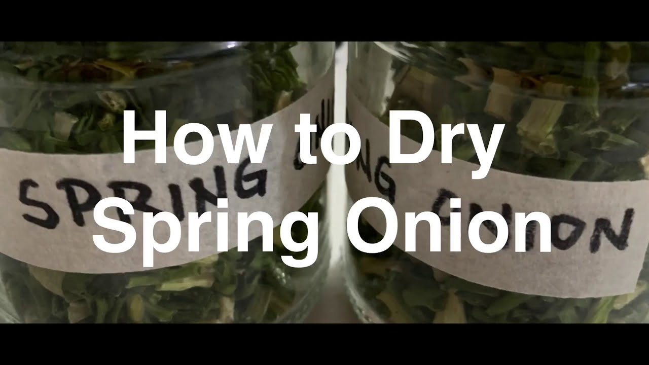How to Dry Spring Onion/mommygi jocelyn gonzales - YouTube