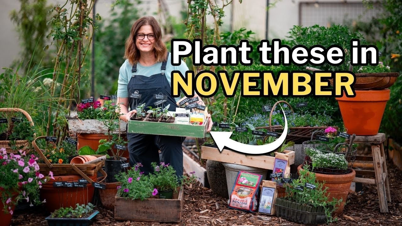 NOVEMBER PLANTING GUIDE: Top Veggies, Flowers, and Herbs for Your Fall ...