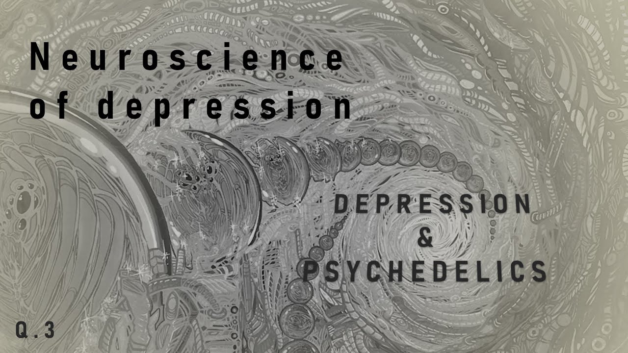 3_ Neuroscience of depression | Neurociencia de la depresión # ...