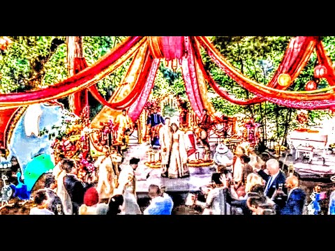 Tom and Jerry: The Movie: (2021) Ben and Preeta's wedding ceremony, ending