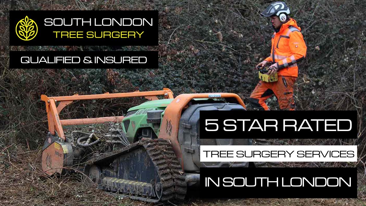 South London Tree Surgery | Tree Surgeons In South London | Promo Video ...