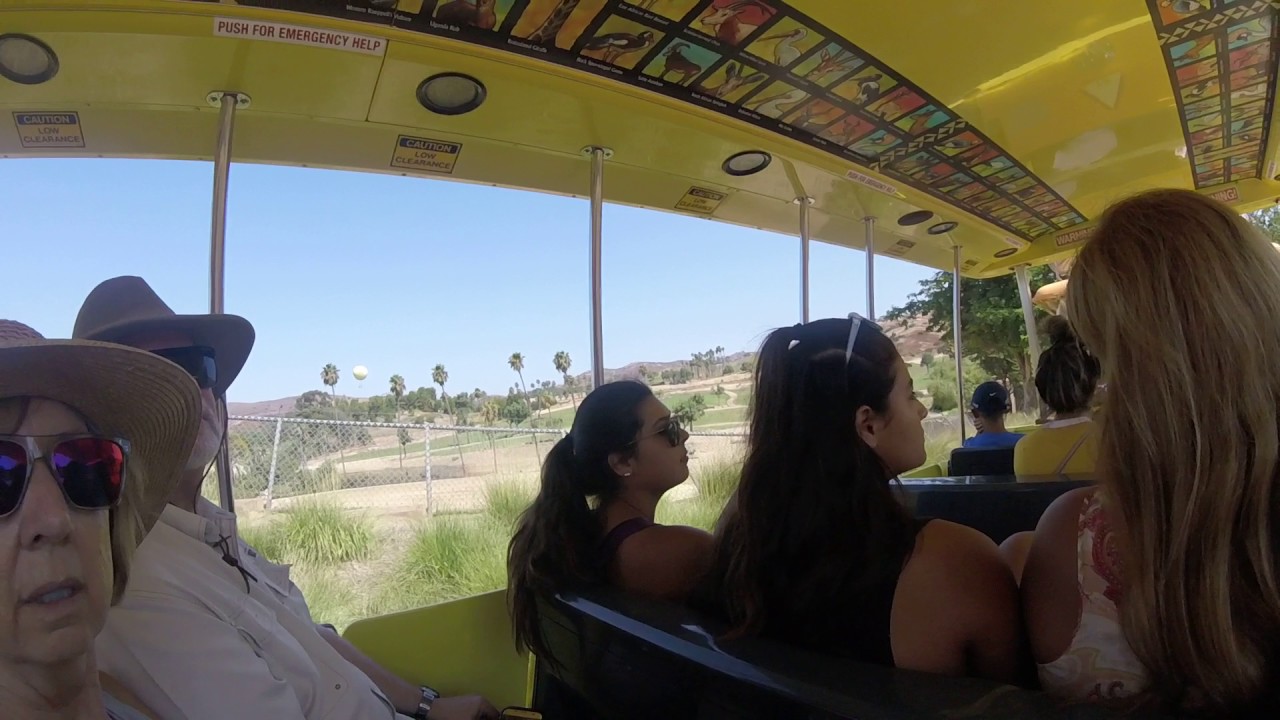 Africa Tram - Safari Park Zoo (1 of 3) - YouTube