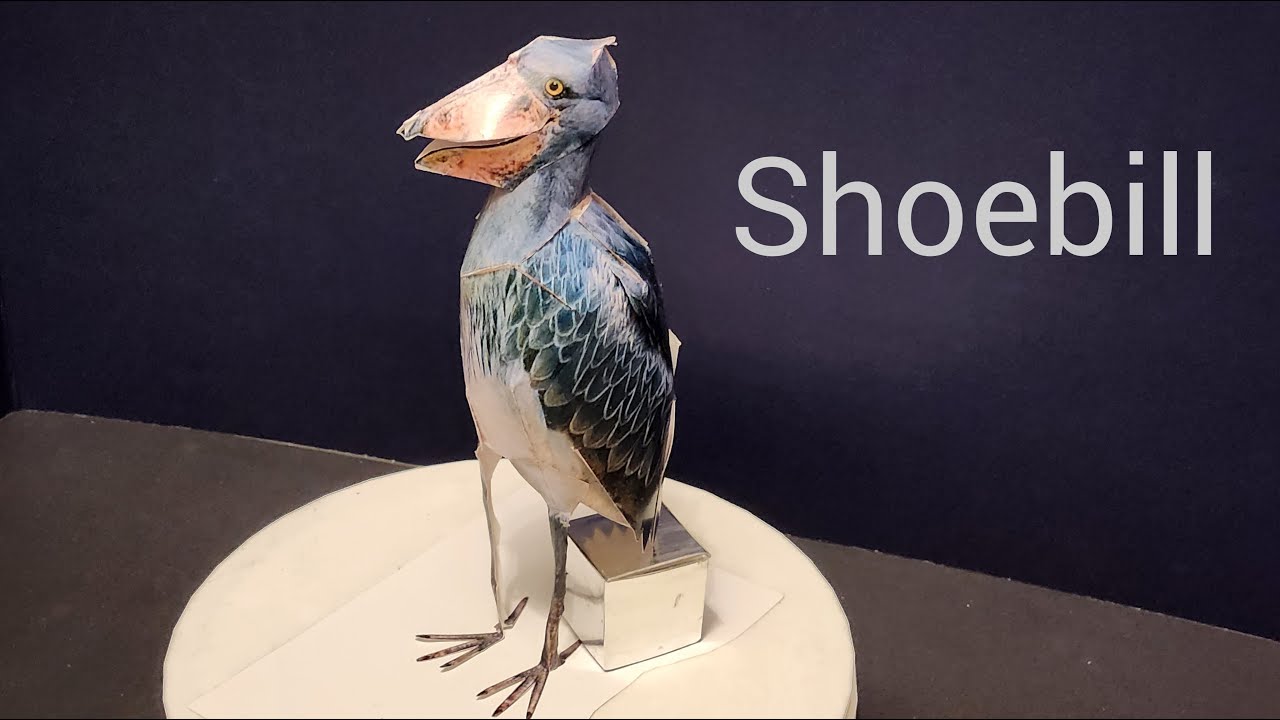 DIY Cardboard Shoebill | Crafting a Realistic Bird Model - YouTube