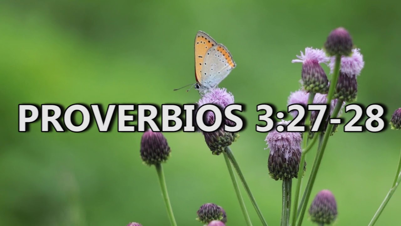 Proverbios 3:27-28 - YouTube