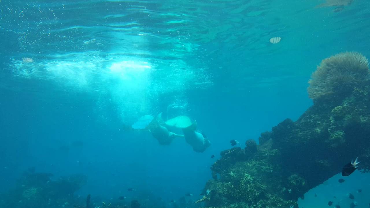 Seaworld Mermaids Explore - YouTube