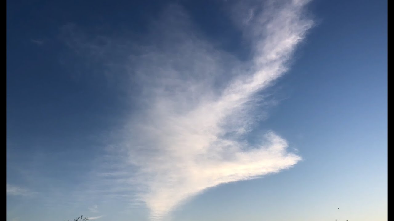 Revelation The Beast Being Seen in Sky Across Entire World No Time ...