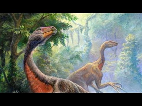 nightvision, beipiao and theri showcase!! [Prior Extinction] - YouTube