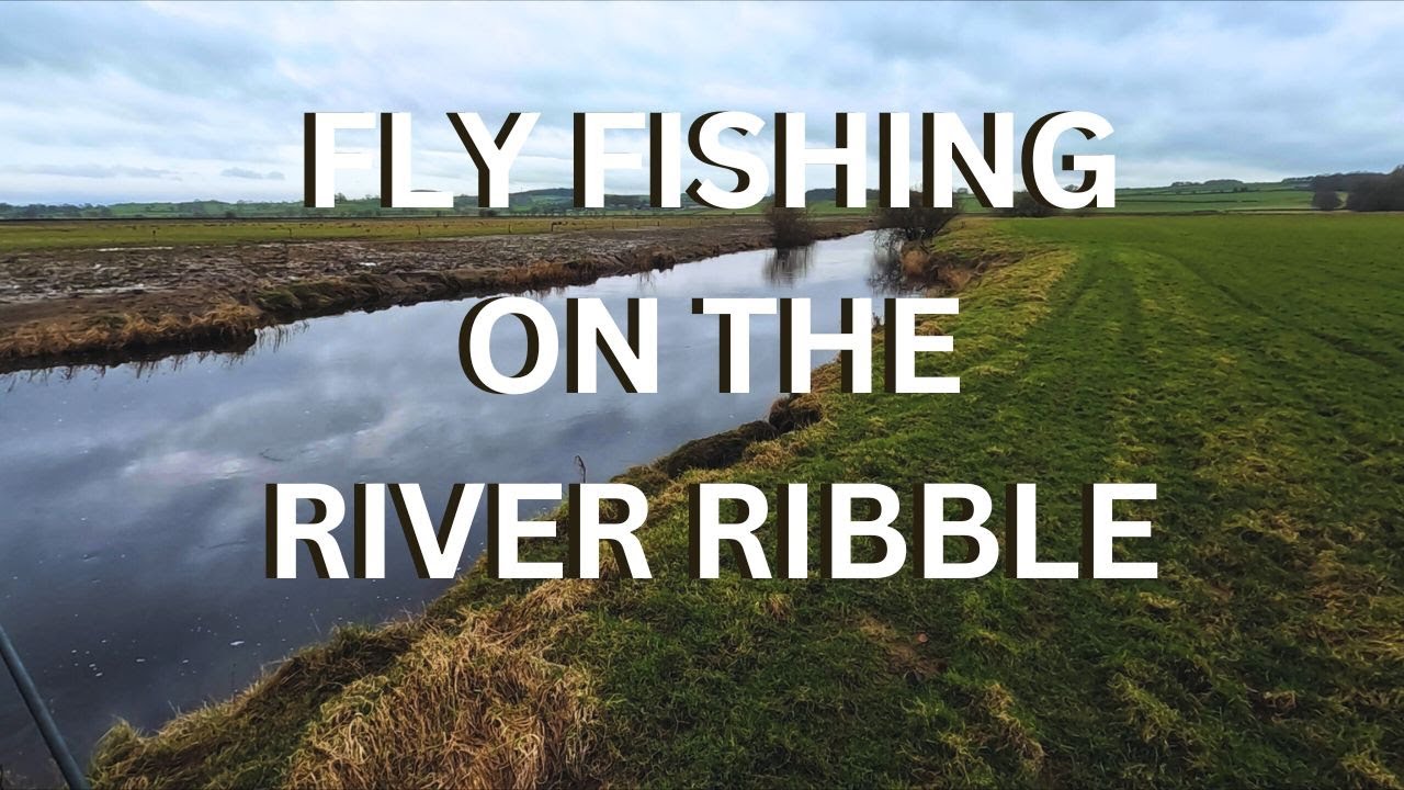 Ep 25 - Grayling Fly Fishing on the River Ribble - YouTube