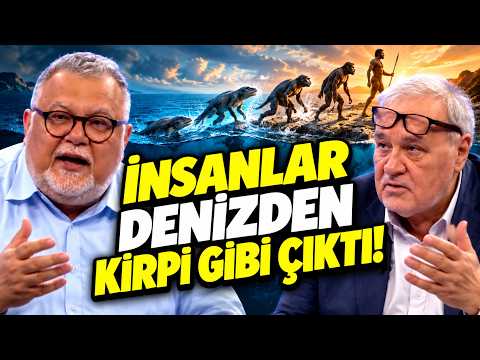 İlk İnsanlar Denizden Kirpi Gibi mi Çıktı? 🦔 Celal Şengör Anlatıyor!