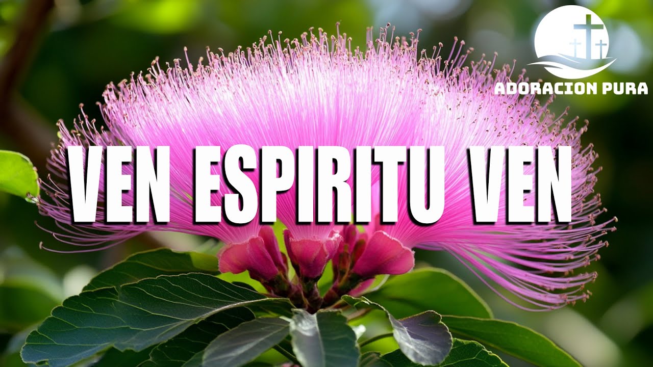VEN ESPIRITU VEN LETRA - ORE POR AVIVAMIENTO Y ACERCAMIENTO A DIOS ...